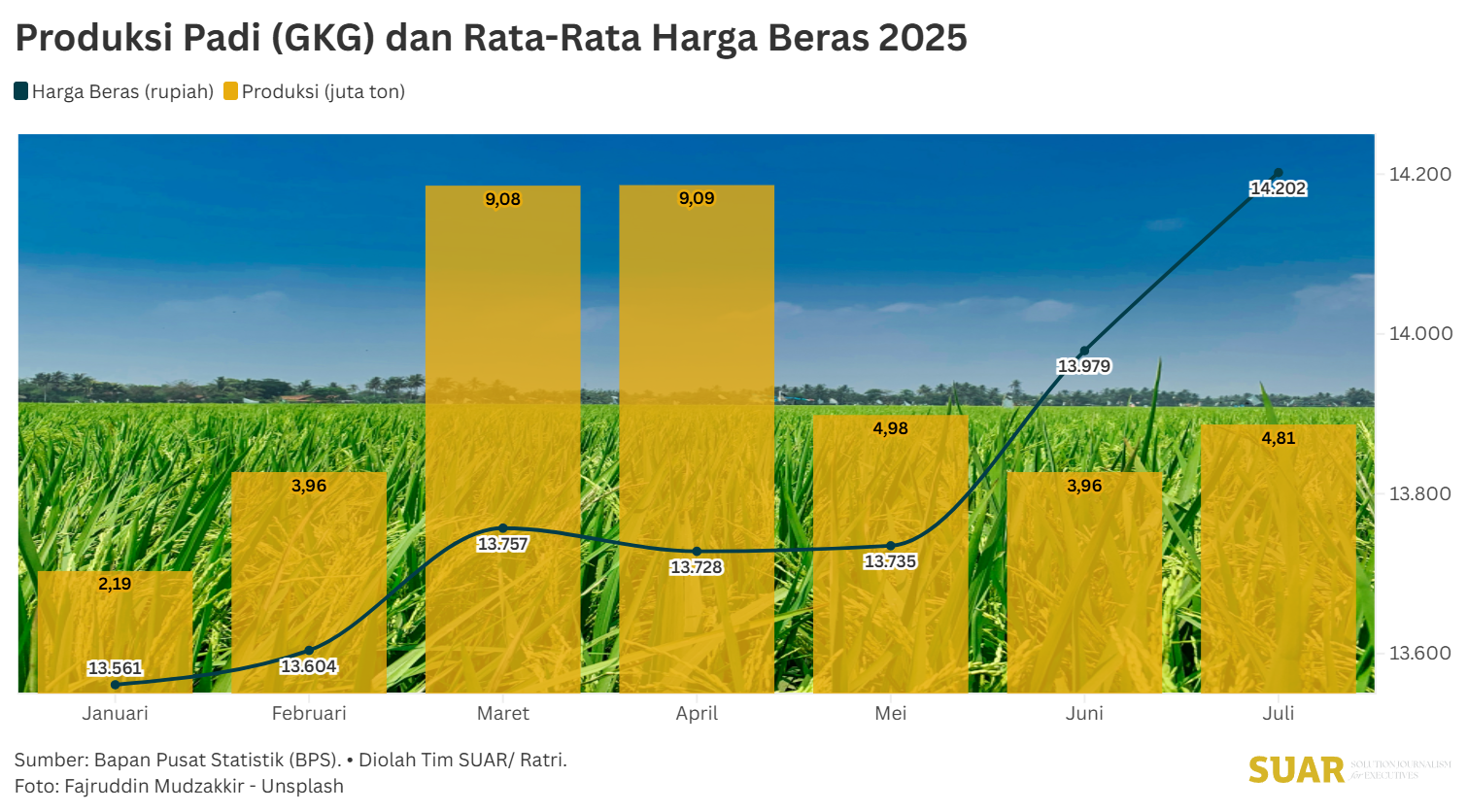 Panen Padi Meningkat, Ketahanan Pangan Menguat